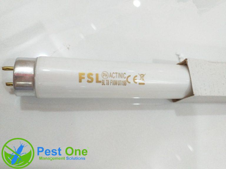 Lưu trữ Tin Tức Pestone - CÔNG TY DỊCH VỤ DIỆT CÔN TRÙNG PEST ONE VIỆT NAM